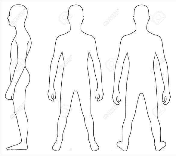 Human Body Outlines Word Excel Samples Human Body Outlines Word Excel Samples