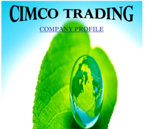 20+ Excellent Company Profile Templates PDF - Word Excel Samples